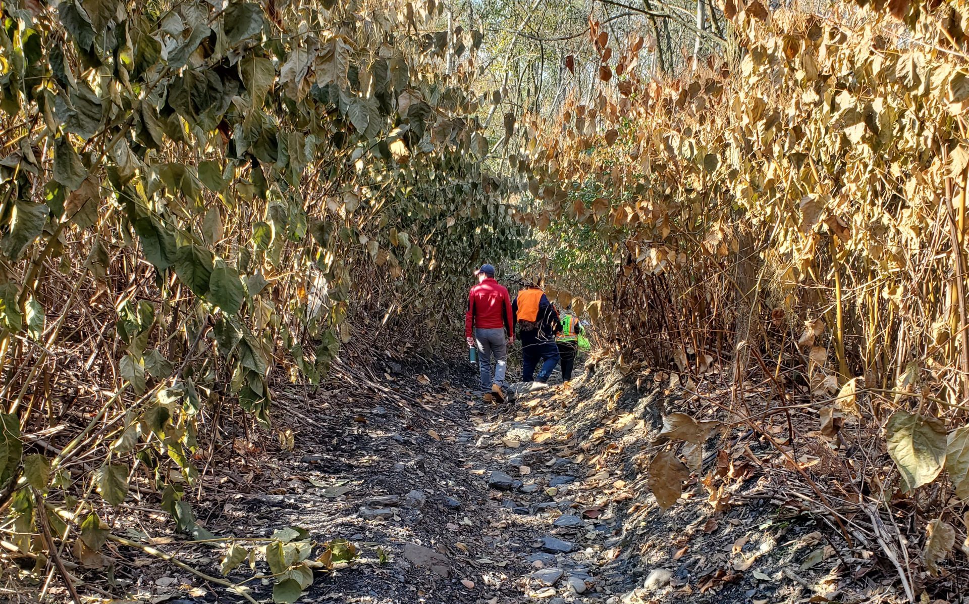 Ashley Borough to Laurel Run North - D&L - Delaware & Lehigh